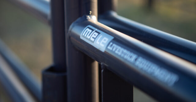 Elite and Rebel Fence Panels Help Ranchers | MJE Livestock Equipment