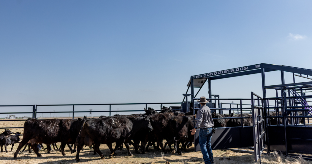 Top 5 Reasons You NEED The Conquistador Wheel Corral - MJE Livestock ...