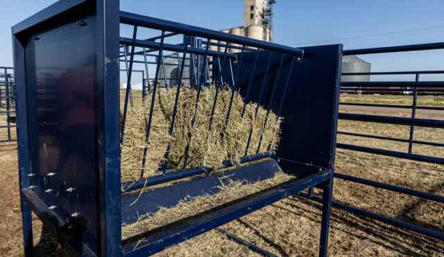 Round Pen Package - MJE Livestock Equipment